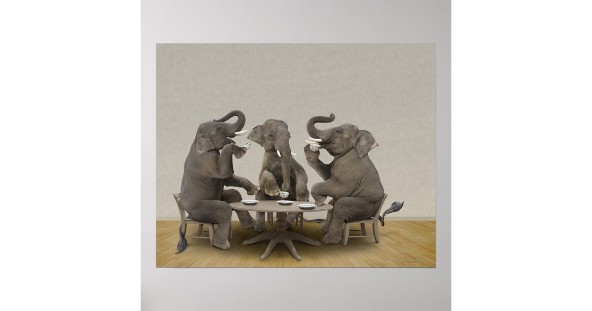 Elephants having tea party poster | Zazzle