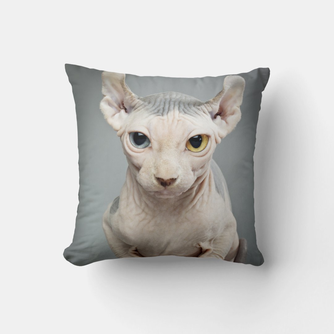 Elf Sphinx Cat Photograph Throw Pillow | Zazzle