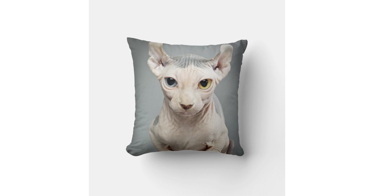 Elf Sphinx Cat Photograph Throw Pillow | Zazzle