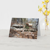 Elk Birthday card | Zazzle