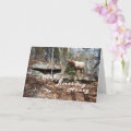 Elk Birthday card | Zazzle