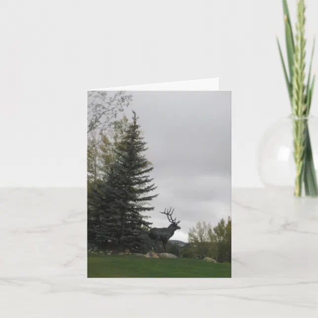 Elk Birthday Card | Zazzle