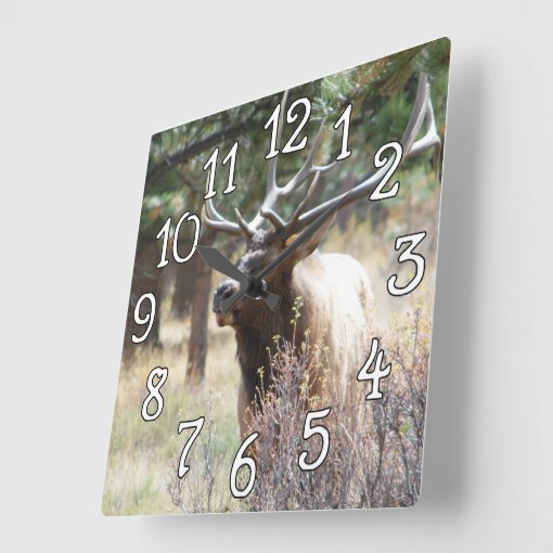 Elk Bull Buck Deer Mancave Wall Clock | Zazzle