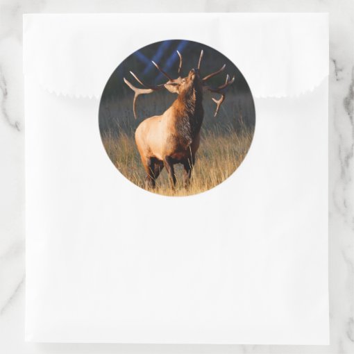 elk classic round sticker | Zazzle