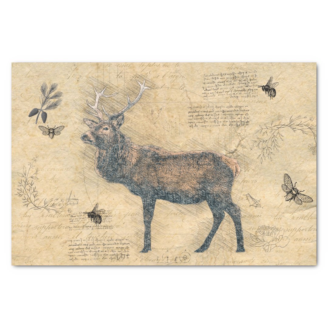 Elk Decoupage Vintage Ephemera Tissue Paper | Zazzle