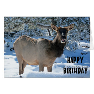 Elk Birthday Cards - Greeting & Photo Cards | Zazzle