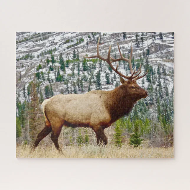 Elk Puzzle | Zazzle