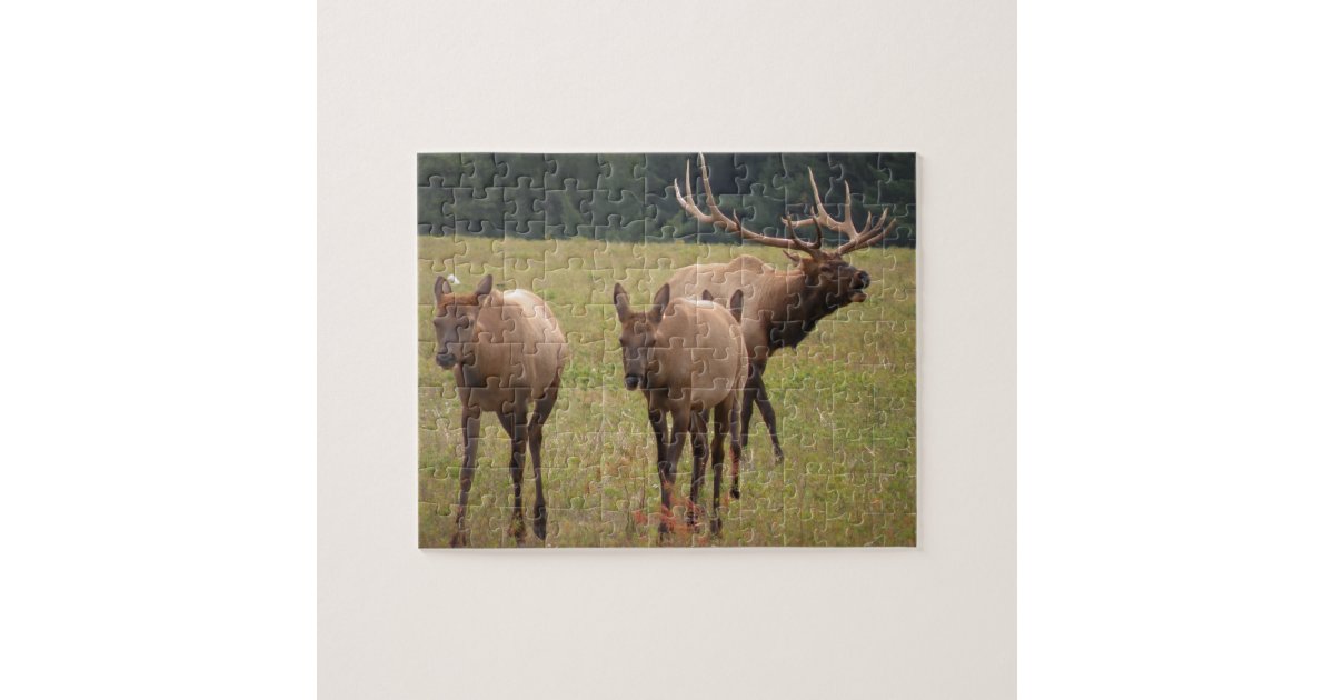 Elk Puzzle | Zazzle