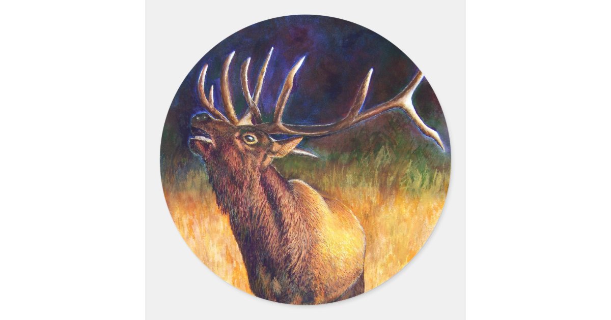 Elk, Stickers | Zazzle