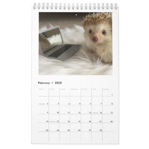 elliot the hedgehog calendar | Zazzle