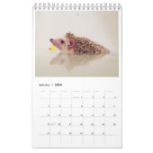 elliot the hedgehog calendar | Zazzle