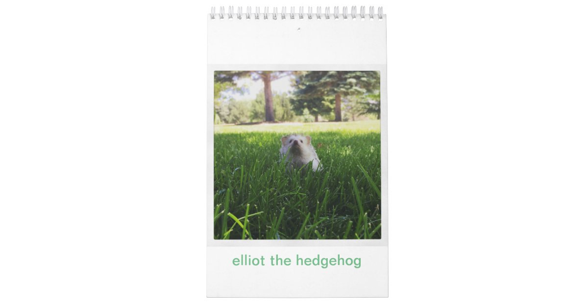 elliot the hedgehog calendar | Zazzle