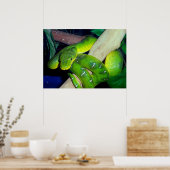 Emerald Tree Boa Poster | Zazzle