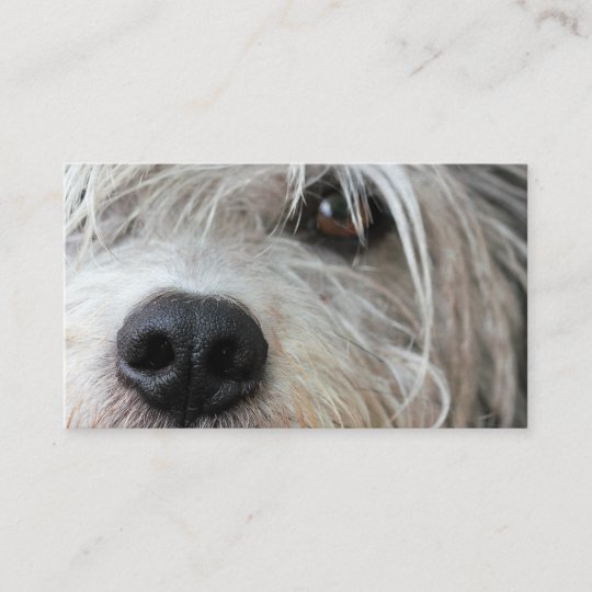 Pet emergency contact info wallet cards dog cat | Zazzle.com