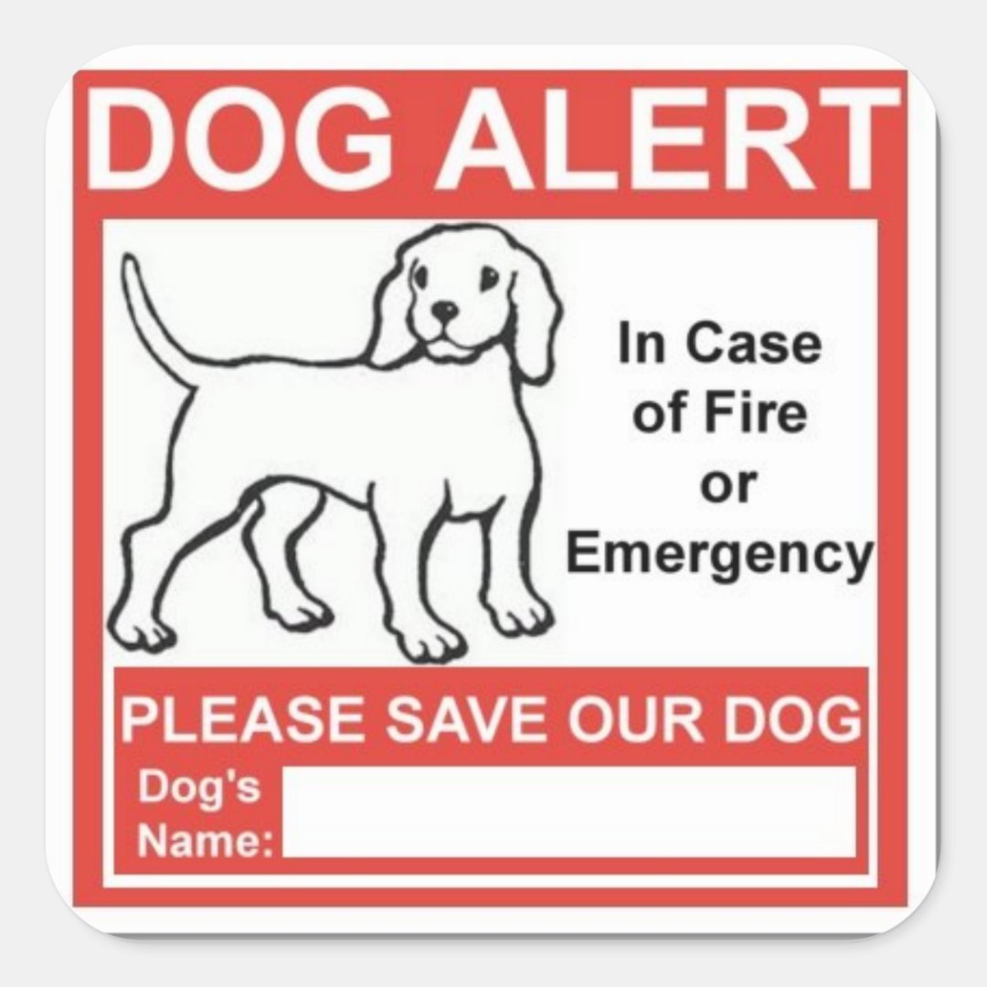 Emergency Services Dog Alert Square Sticker | Zazzle