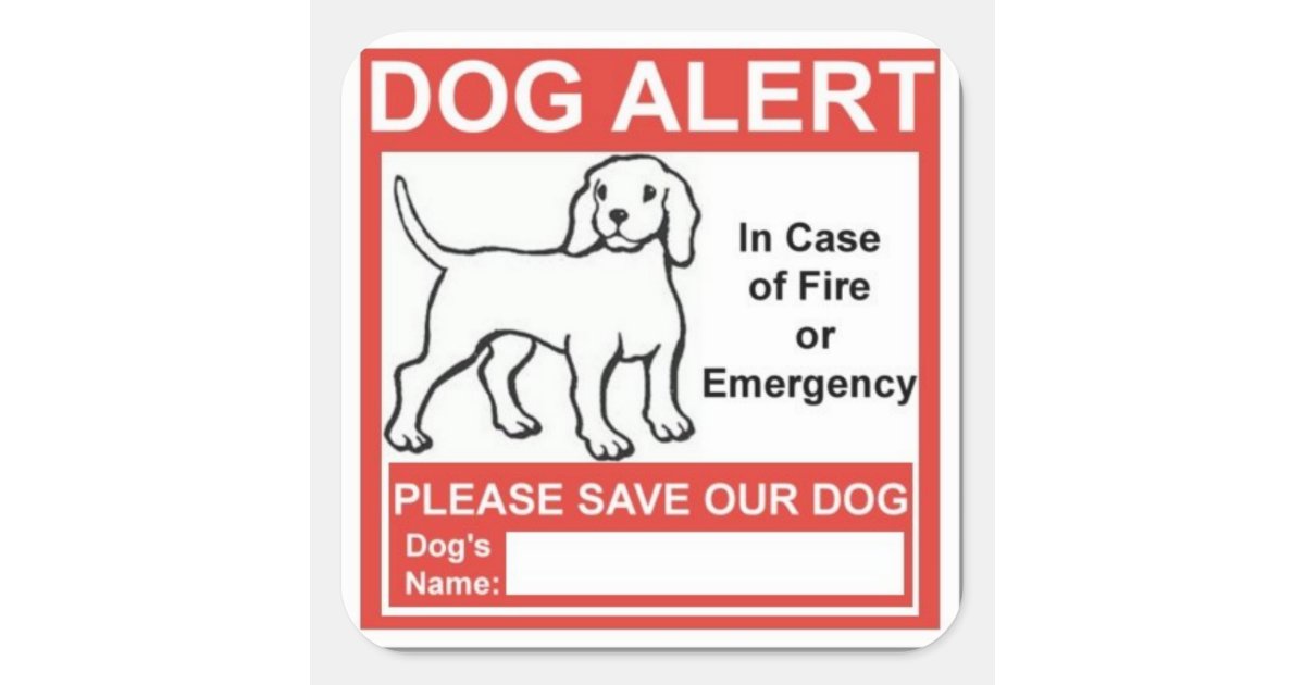 Emergency Services Dog Alert Square Sticker | Zazzle