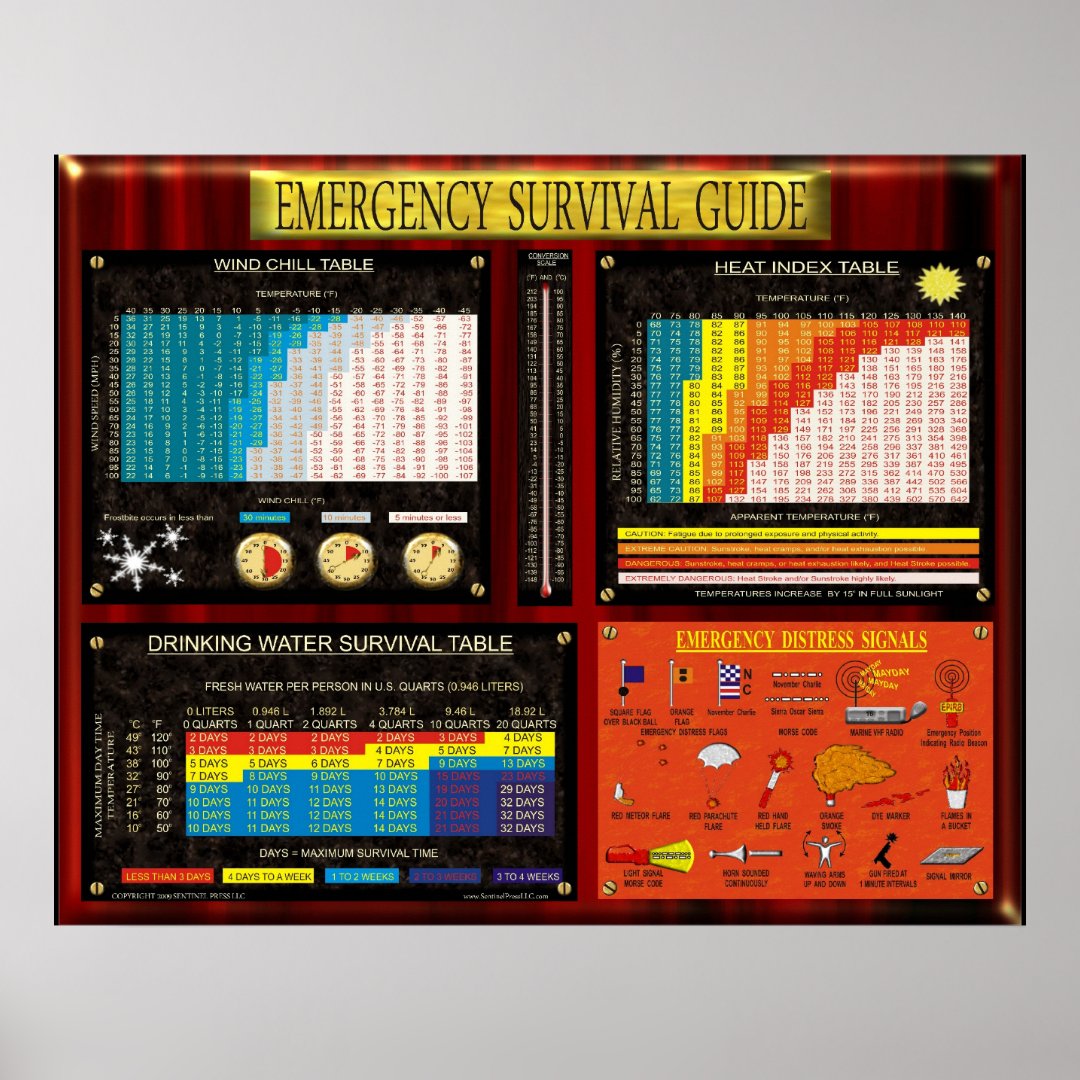EMERGENCY SURVIVAL GUIDE POSTER | Zazzle