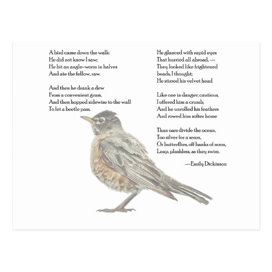 Emily Dickinson "In the Garden" Poem Postcard | Zazzle.com