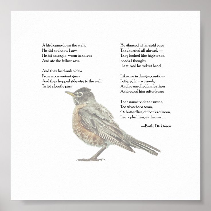 Emily Dickinson "In the Garden" Poem Poster | Zazzle