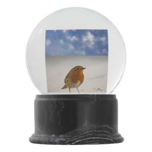 Emily Dickinson poem Snow Globe | Zazzle