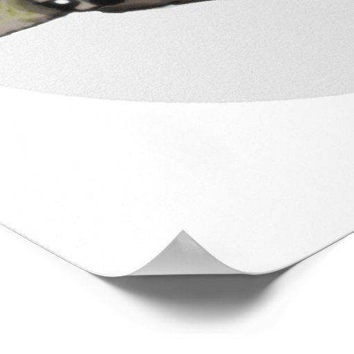 Emo Sloth Poster | Zazzle