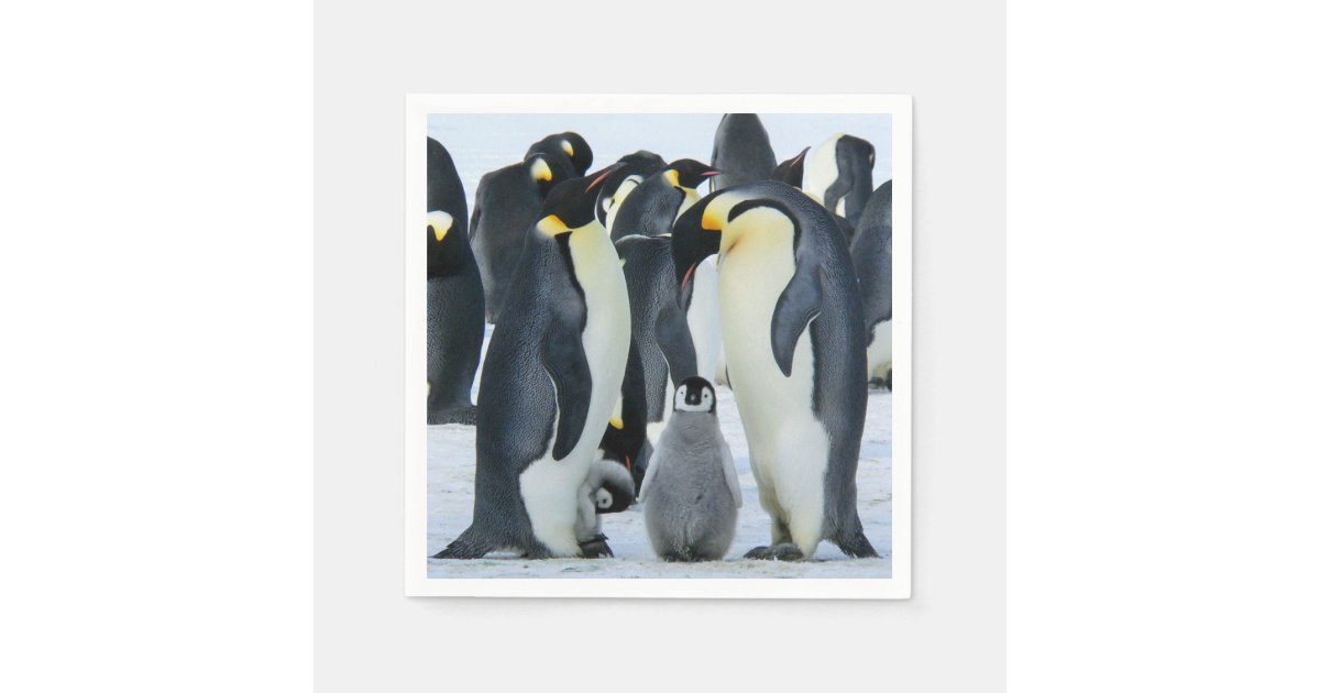 Emperor penguins napkins | Zazzle