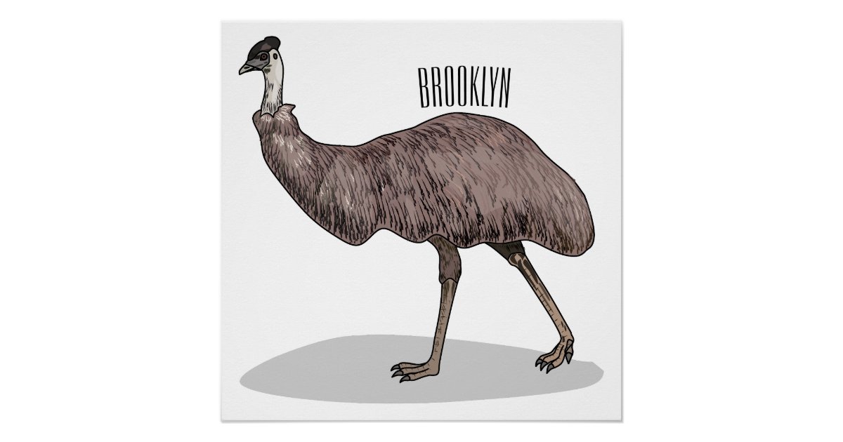 Emu bird cartoon illustration poster | Zazzle