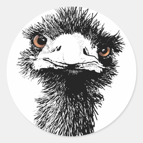 Emu Classic Round Sticker | Zazzle.com