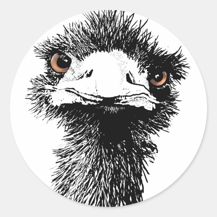 Emu Classic Round Sticker | Zazzle.com