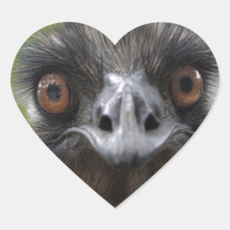 Emu Stickers | Zazzle