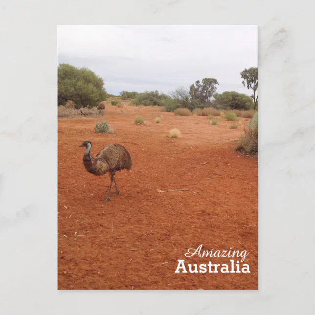 Emu in the Australian outback postcard | Zazzle
