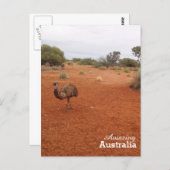 Emu in the Australian outback postcard | Zazzle