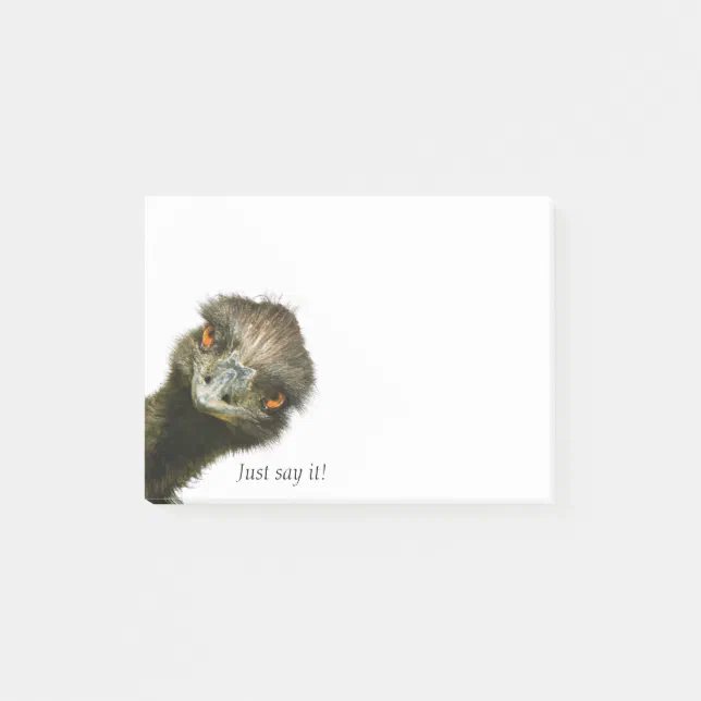 Emu Just Say It Post-it Notes | Zazzle