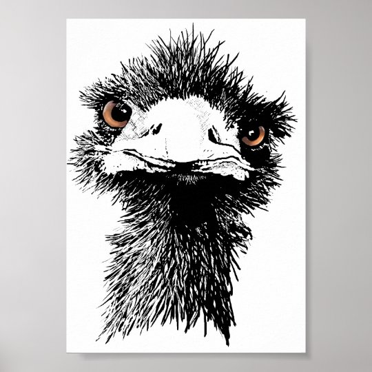 Emu Poster | Zazzle.com