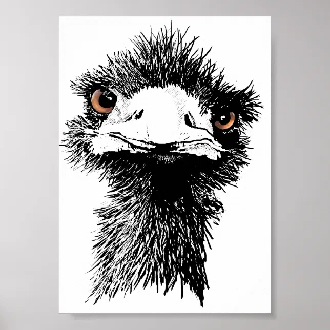 Emu Poster | Zazzle
