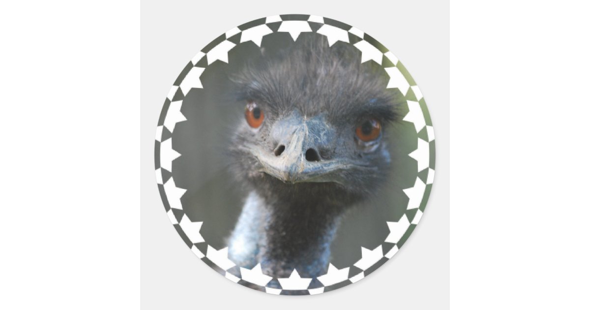 Emu Sticker | Zazzle