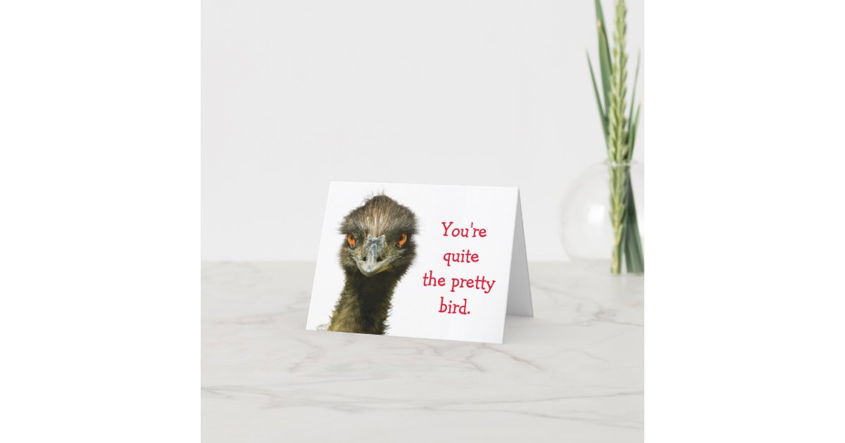 Emu Valentine Poem Holiday Card | Zazzle.com
