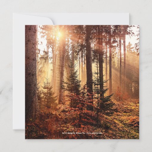 Enchanted Forest Fall Post or After Wedding Invite | Zazzle