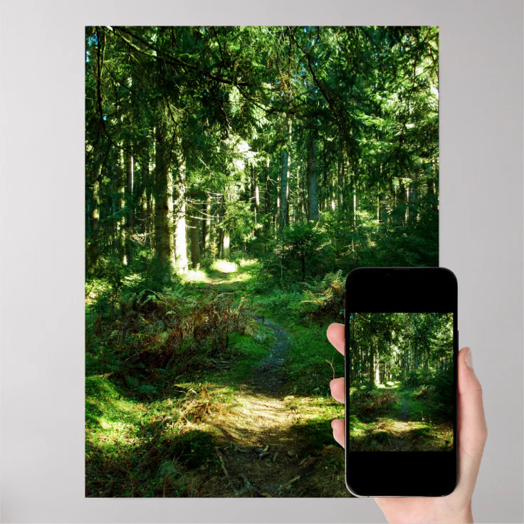enchanted forest poster | Zazzle