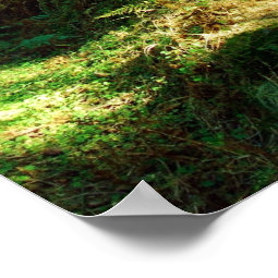 enchanted forest poster | Zazzle