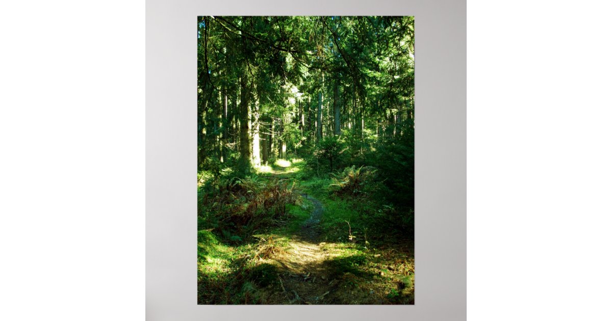 enchanted forest poster | Zazzle