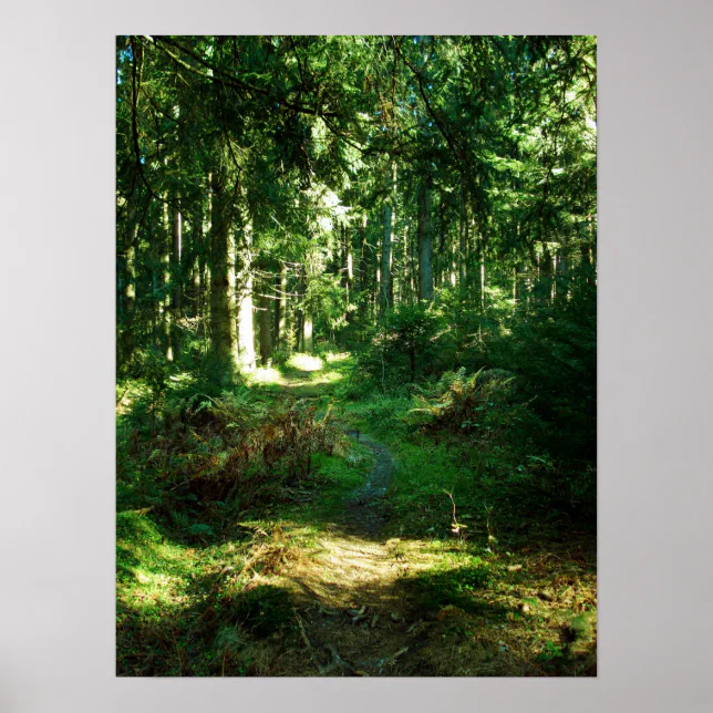 enchanted forest poster | Zazzle