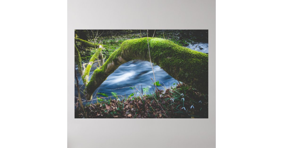 Enchanted magical forest poster | Zazzle