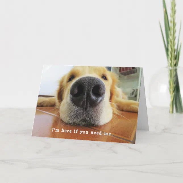 Encouragement Support Get Well Add a Name Cute Dog Card | Zazzle