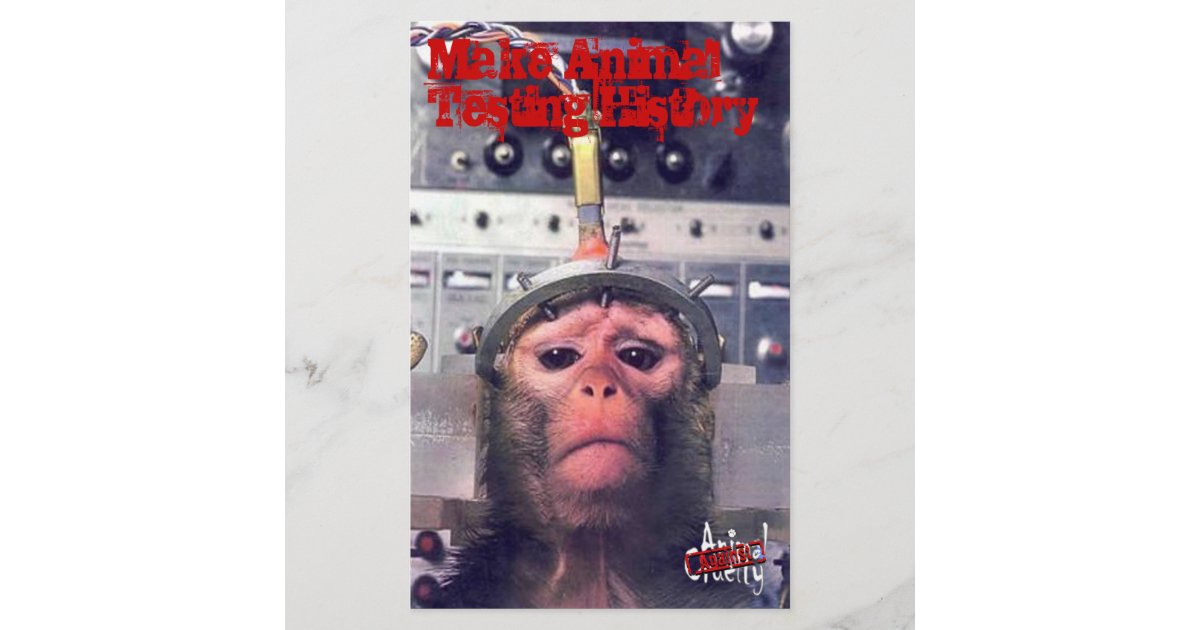 End Animal Testing Flyer | Zazzle
