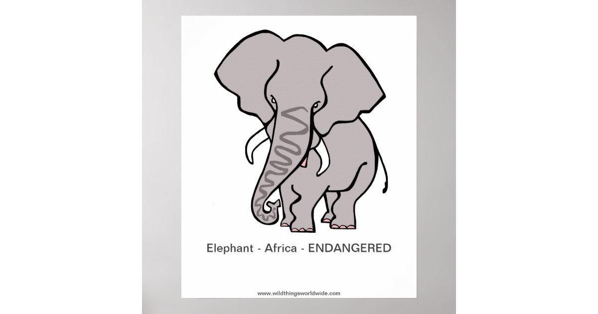 Endangered African Elephant - conservation - Poster | Zazzle
