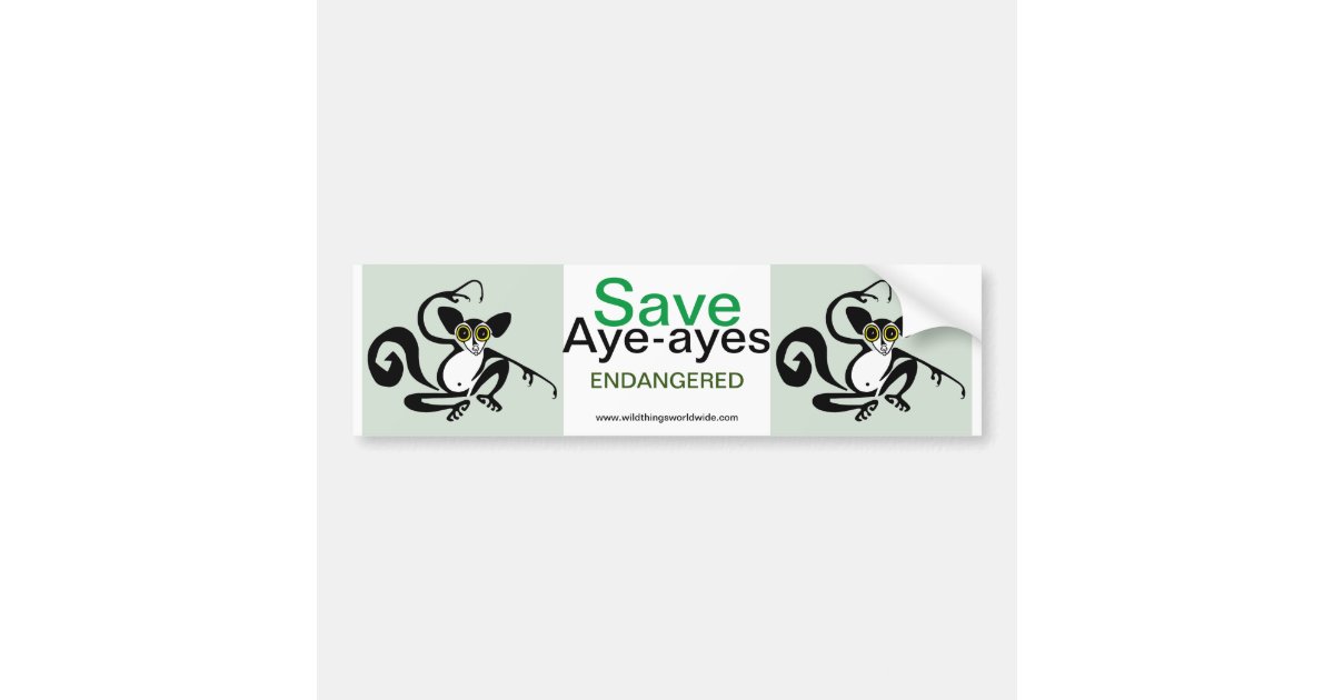 Endangered animal - Save AYE-AYES - Conservation - Bumper Sticker | Zazzle