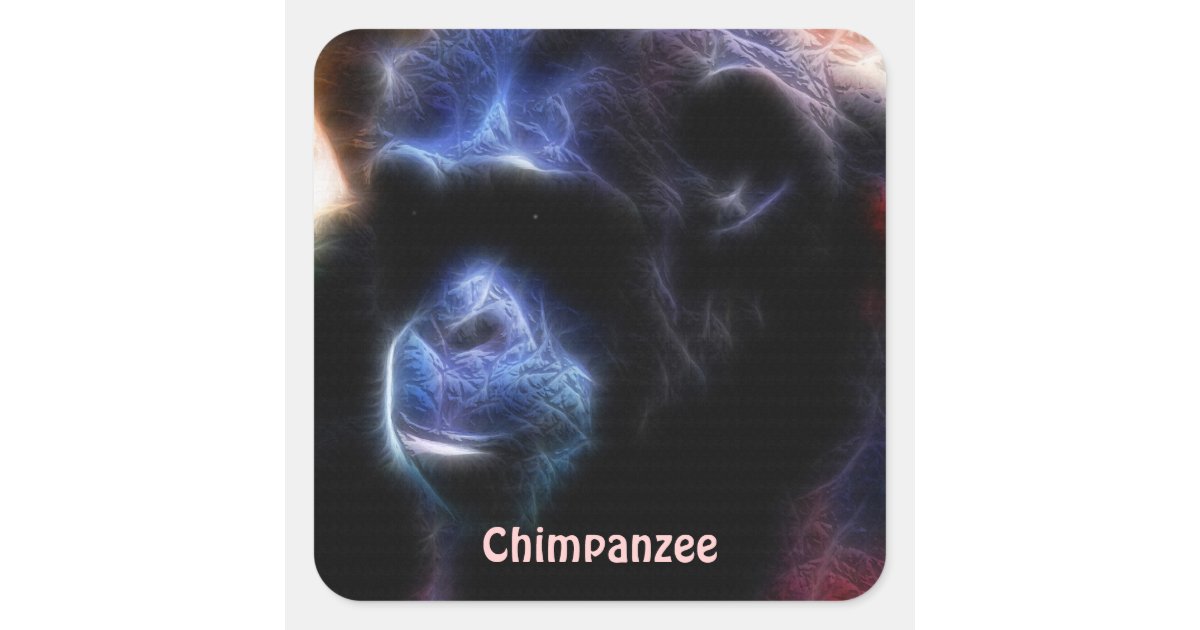 Endangered Chimpanzees African Wildlife Sticker | Zazzle