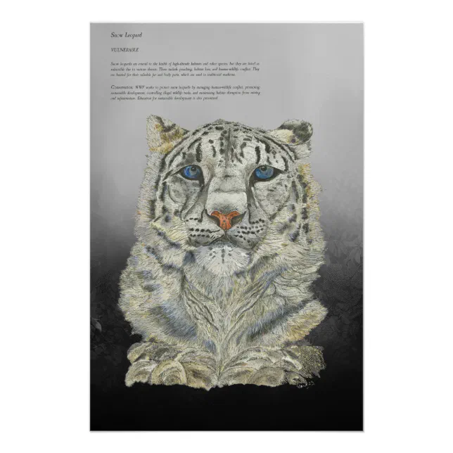 Endangered Hand Painted Print Snow Leopard poster | Zazzle