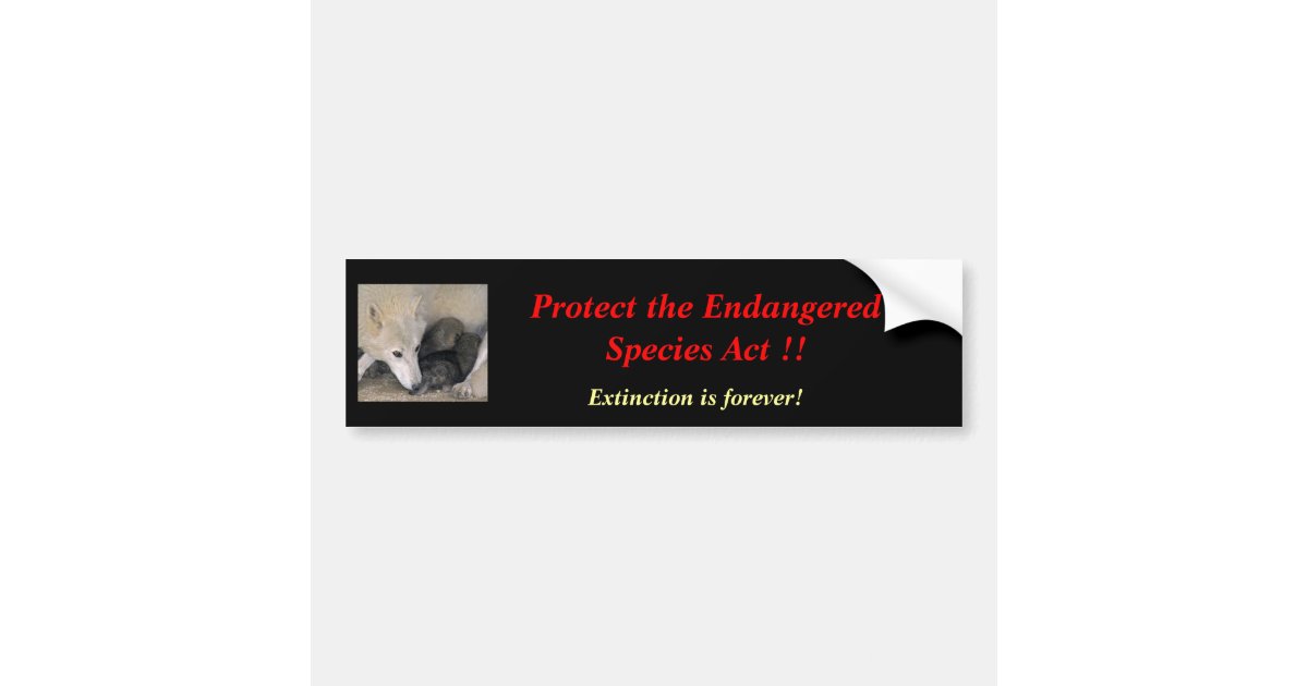 Endangered Species Bumper Sticker | Zazzle